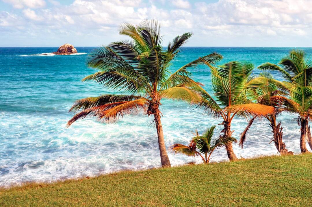 Things to do in Smugglers Cove | FirstChoice.co.uk