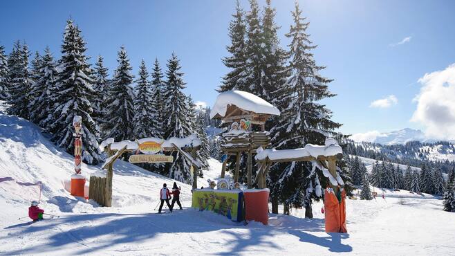 Les Gets Ski | Les Gets Ski Resort | Crystal Ski