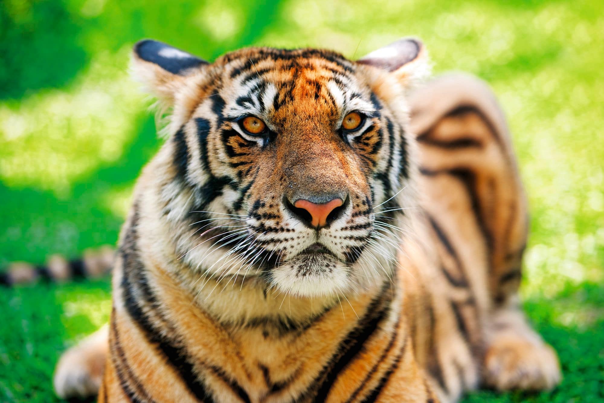 Best Tours in India | Discover | TUI.co.uk