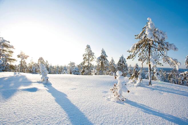 Santasport Hotel in Rovaniemi | TUI.co.uk