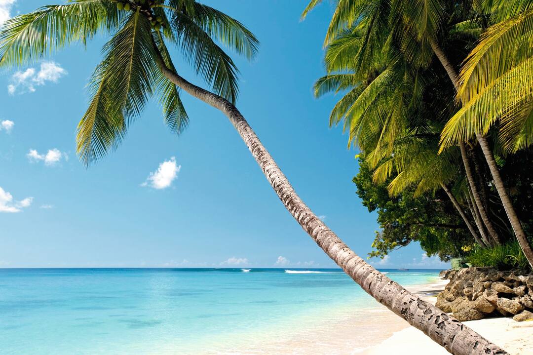 Things to do in Barbados | TUI.co.uk