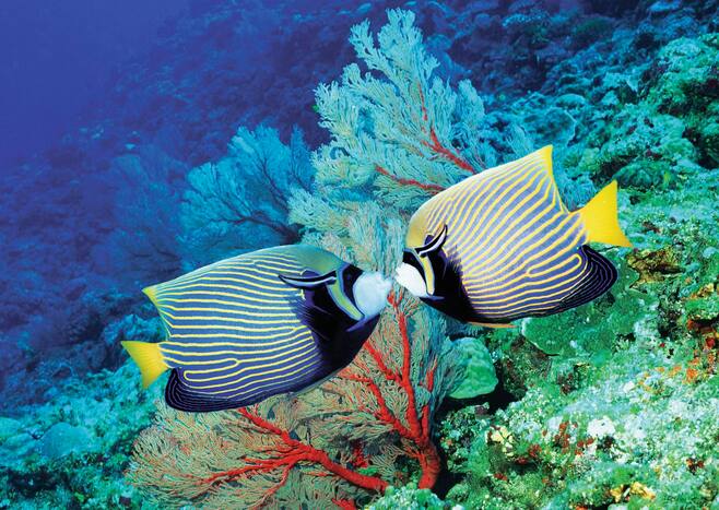 Things To Do in Egypt | FirstChoice.co.uk