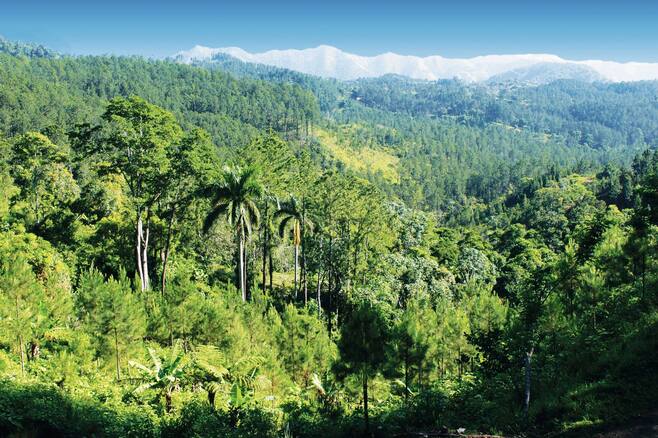 Things to do in Dominican Republic | TUI.co.uk