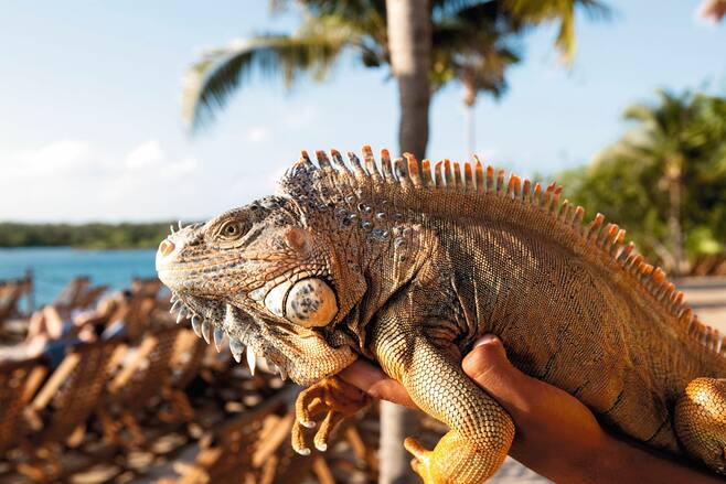 Things to do in Tulum | TUI.co.uk