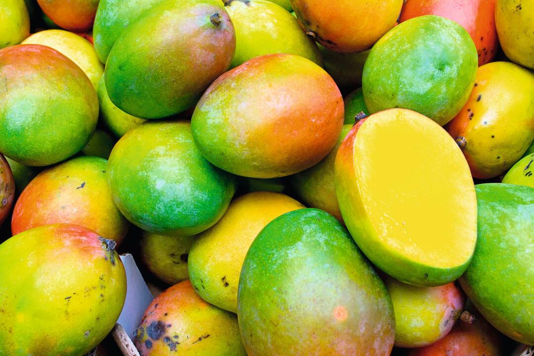 Things To Do in Dominican Republic | FirstChoice.co.uk