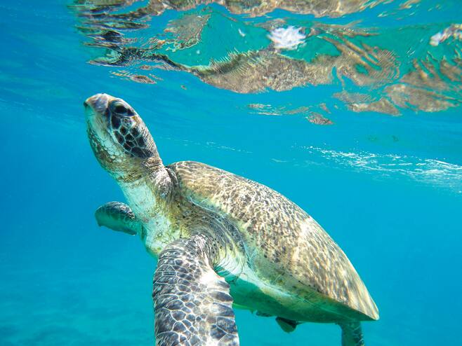 Things to do in Zante | FirstChoice.co.uk