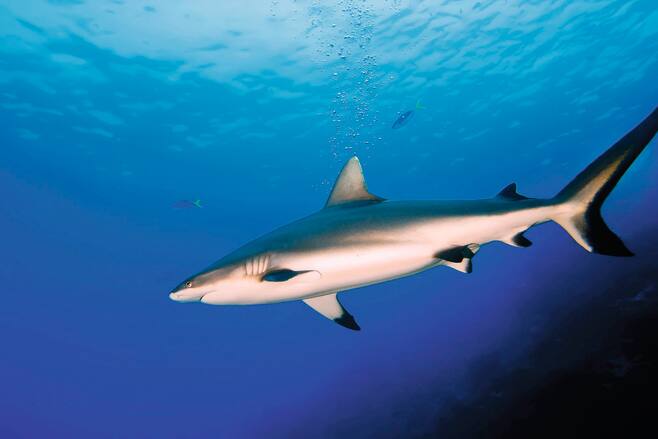 Things to do in Heraklion area | TUI.co.uk