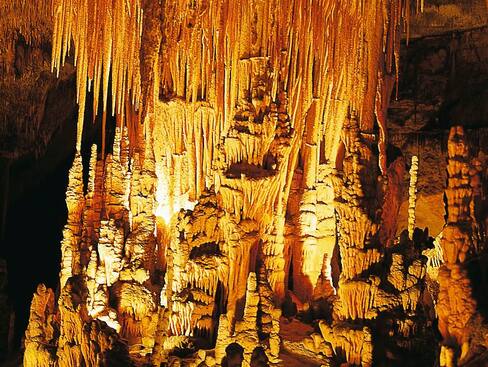 Hotel Levante in Cala Bona | TUI.co.uk