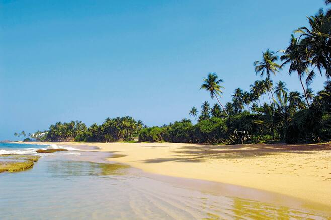 Things to do in Wadduwa | TUI.co.uk