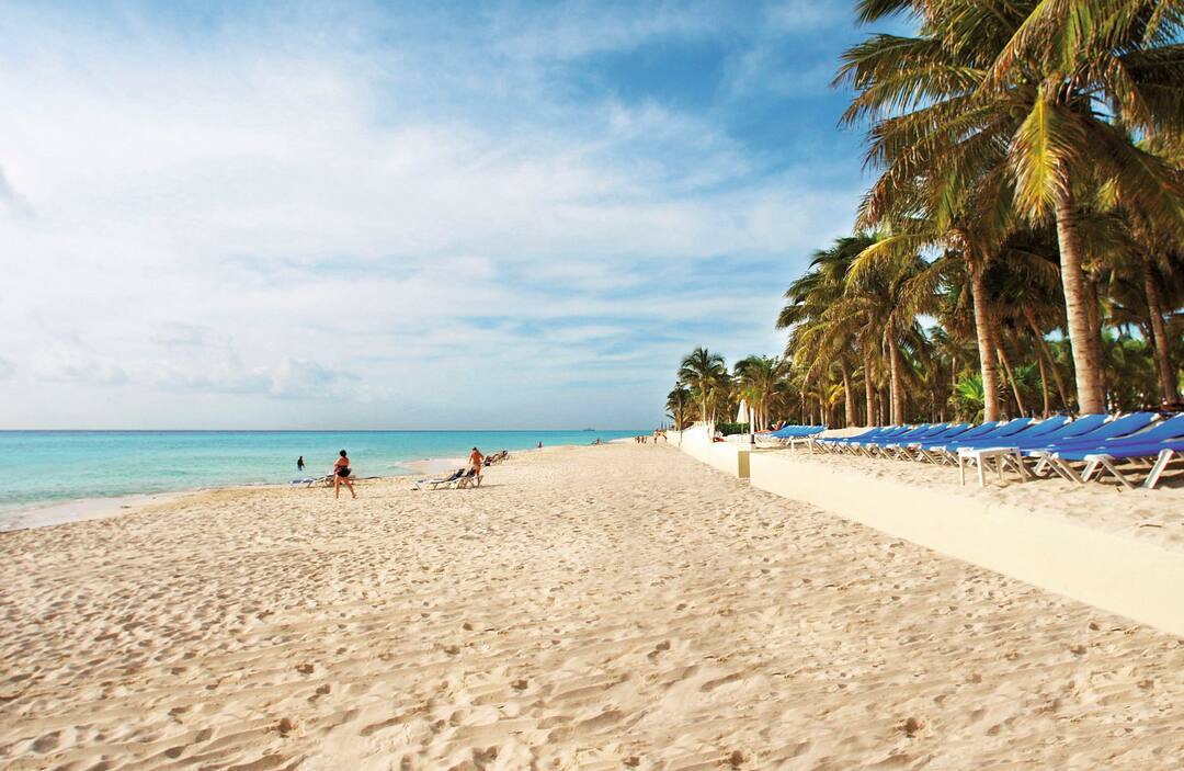 Playacar Holidays 2024 / 2025 | TUI.co.uk