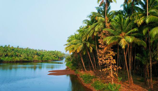 Things to do in Goa | TUI.co.uk