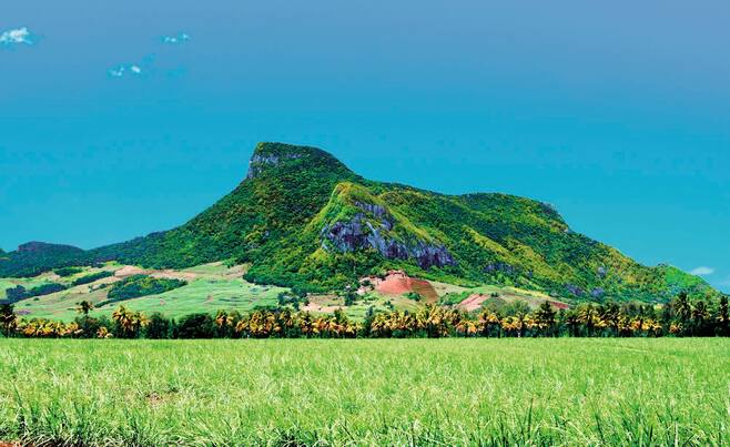 Things to do in Trou d'Eau Douce | TUI.co.uk
