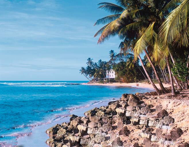 Things to do in Barbados | TUI.co.uk