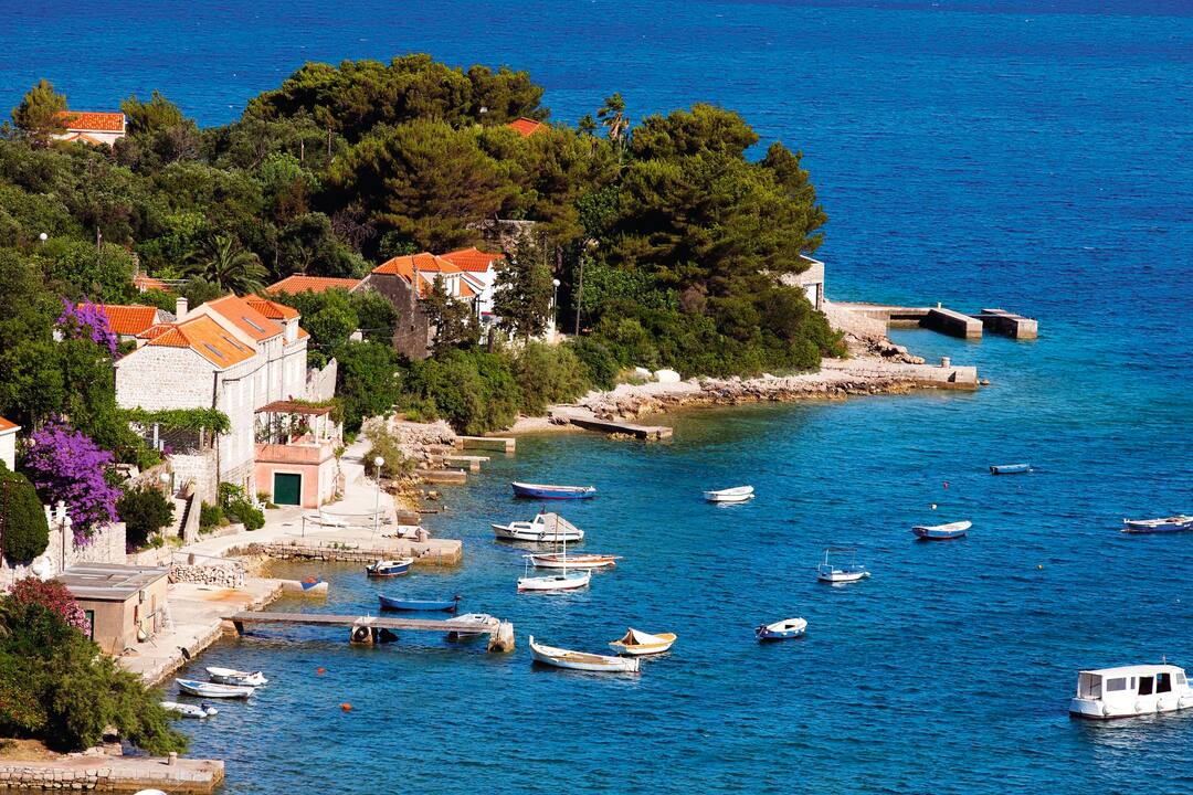 Things to do in Kolocep | TUI.co.uk