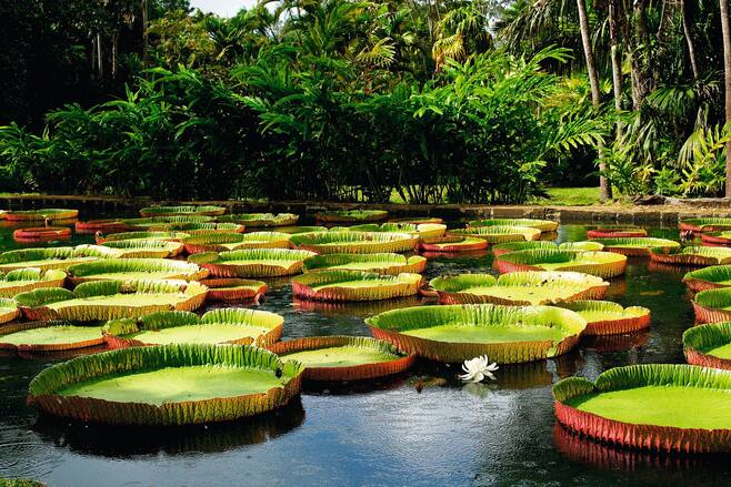 Things to do in Mauritius | TUI.co.uk