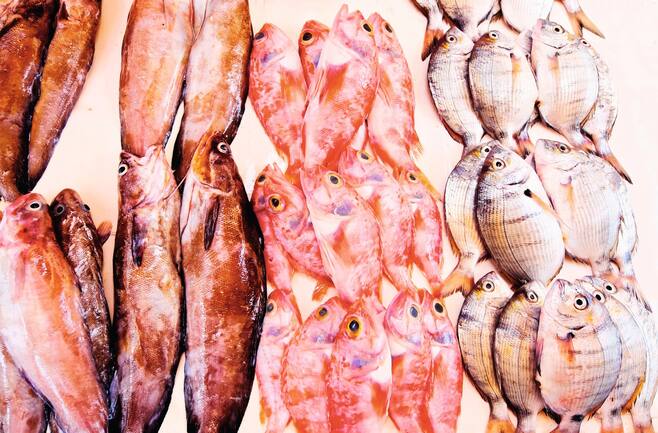 Things to do in Agadir and Taghazout | TUI.co.uk