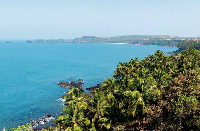 Things to do in South Goa | TUI.co.uk