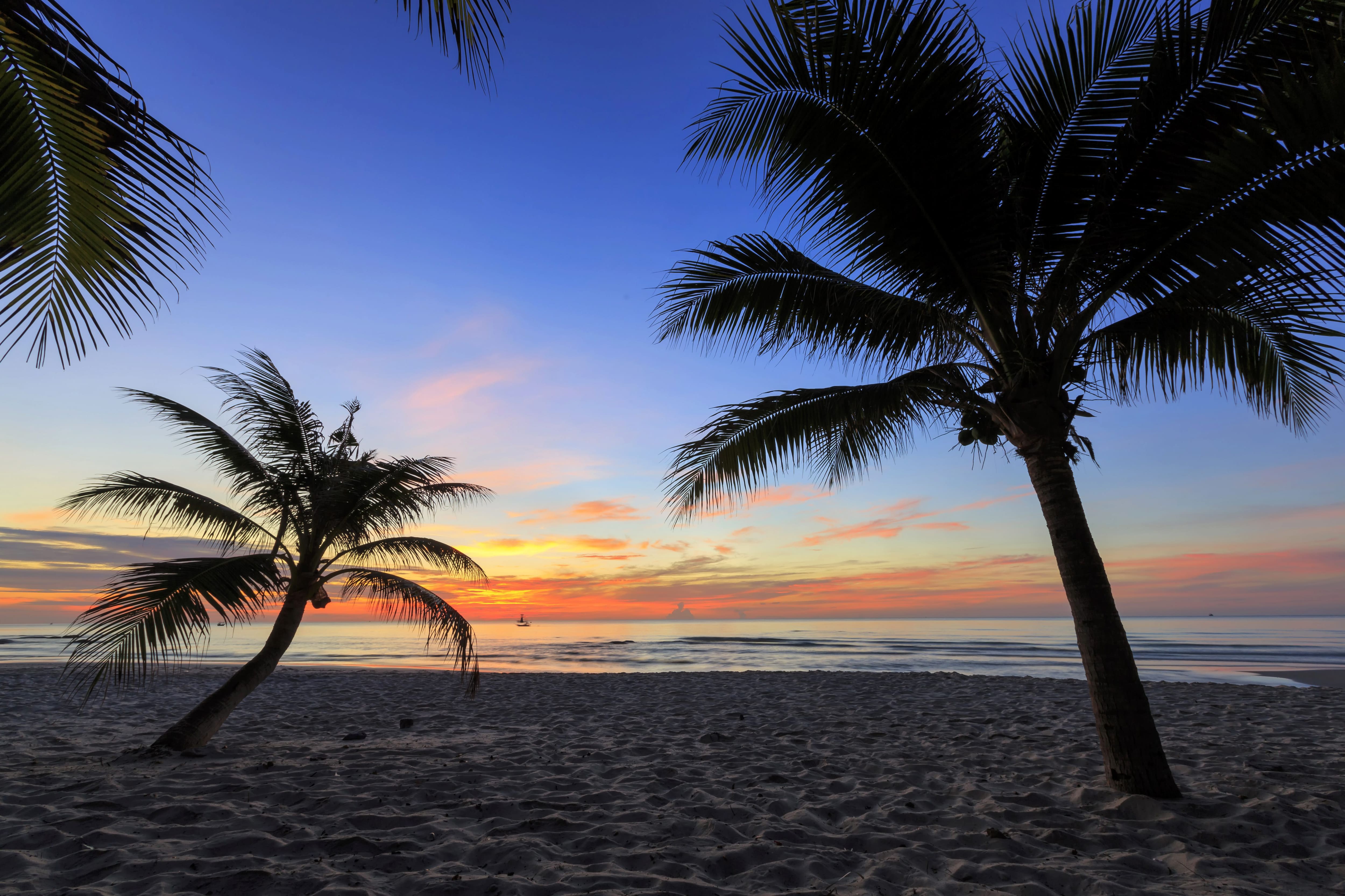 TUI.co.uk | Holidays, Flights & Cruises 2024 / 2025