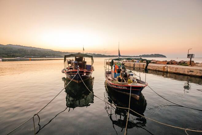 All Inclusive Holidays to Paliouri 2026 / 2027 | TUI.co.uk