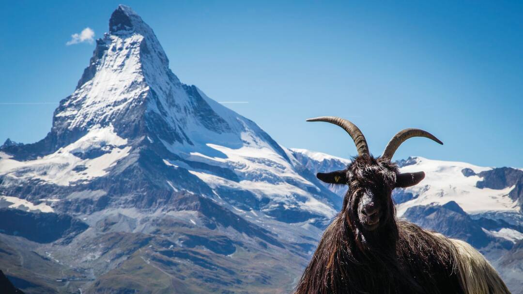 Things to do in Zermatt with TUI