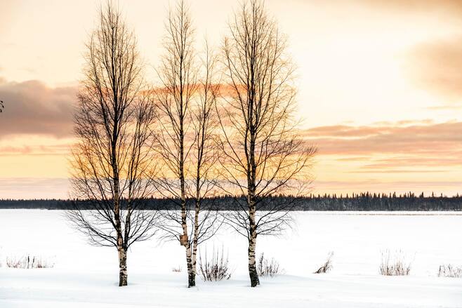 Ruka Valley in Ruka | TUI.co.uk