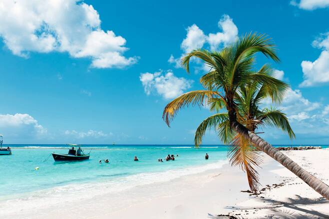 Barbados Holidays 2021 / 2022 | TUI.co.uk