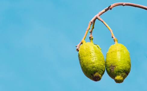 Bamburi Beach Hotel in Bamburi | TUI.co.uk