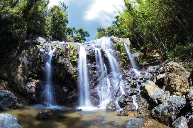 Things to do in Tobago | TUI.co.uk
