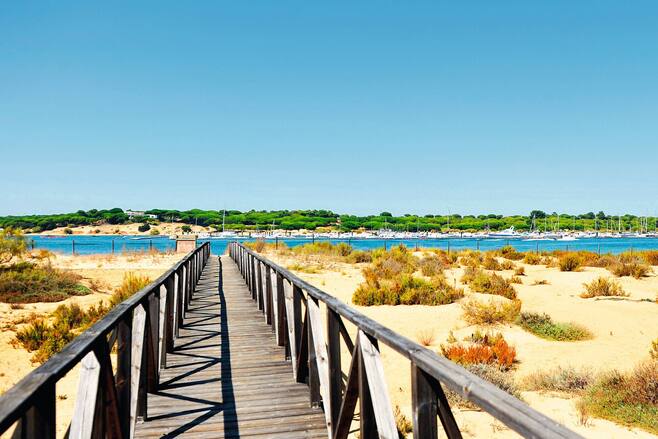 Things to do in El Rompido | TUI.co.uk