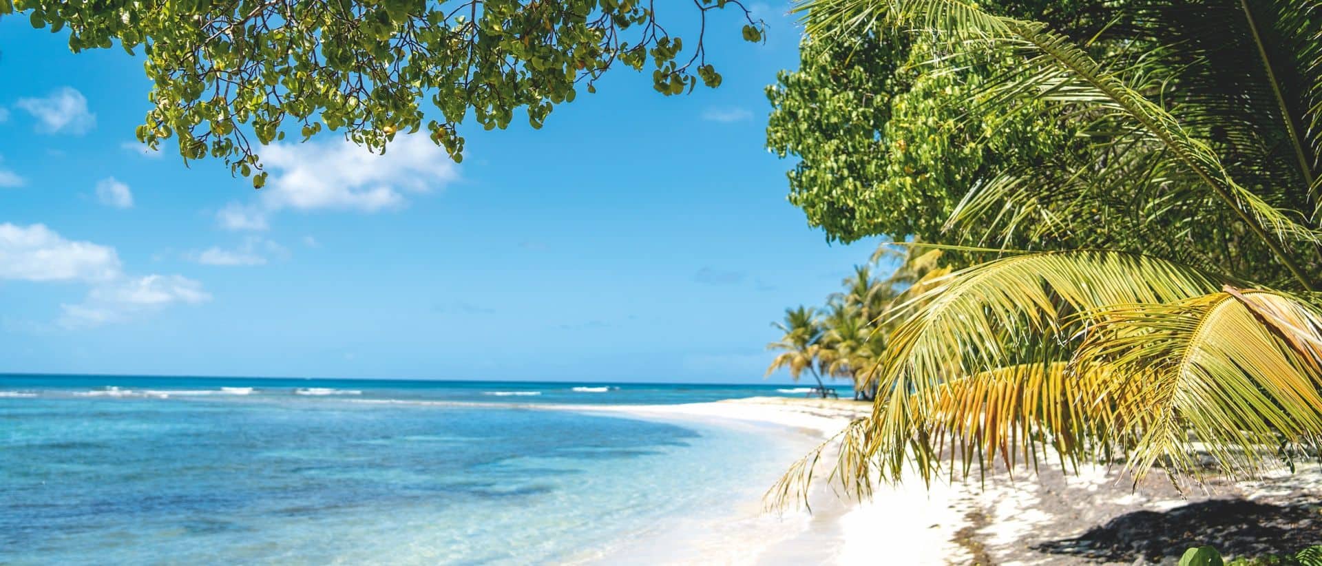 TUI UK | Holidays, Flights & Cruises 2019 / 2020