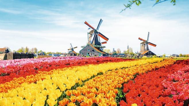 Netherlands River Cruise Deals 2022 | TUI River Cruises