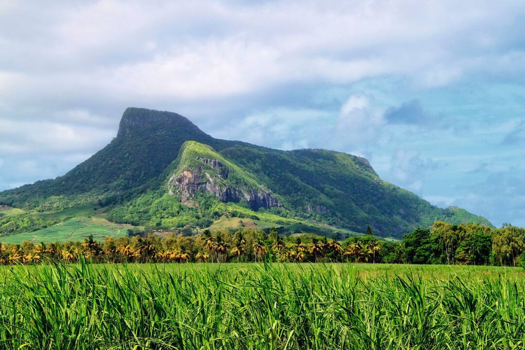 Things To Do in Mauritius | FirstChoice.co.uk
