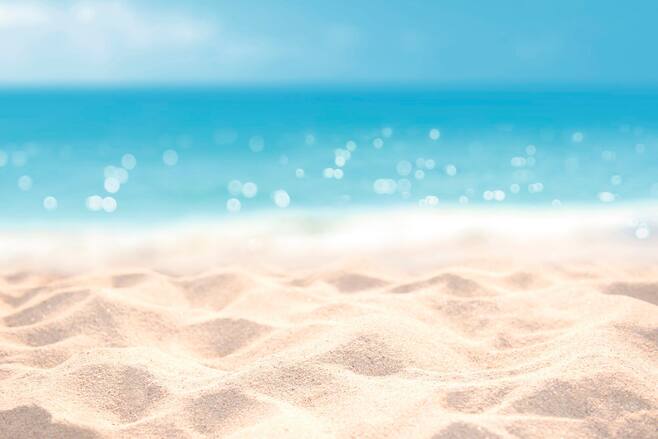 Things to do in Pointe Sarene | TUI.co.uk