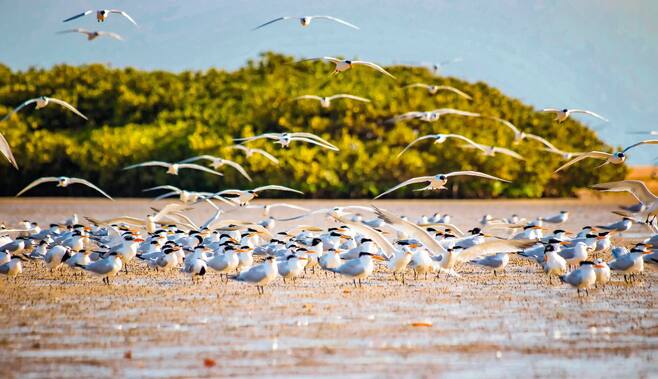 Things to do in Senegal | TUI.co.uk
