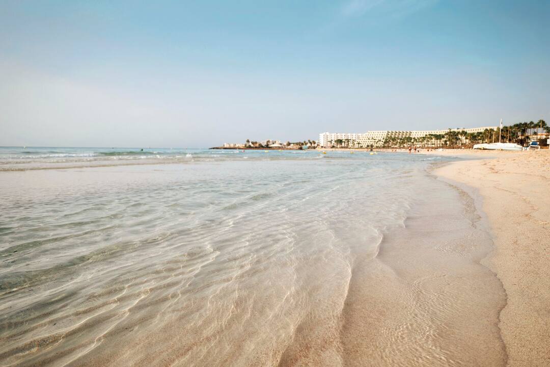 Protur Safari Park Hotel, Majorca - Holiday Hypermarket