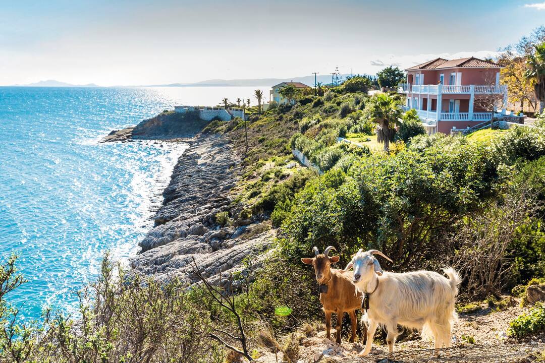Mikelatos Studios in Skala | FirstChoice.co.uk