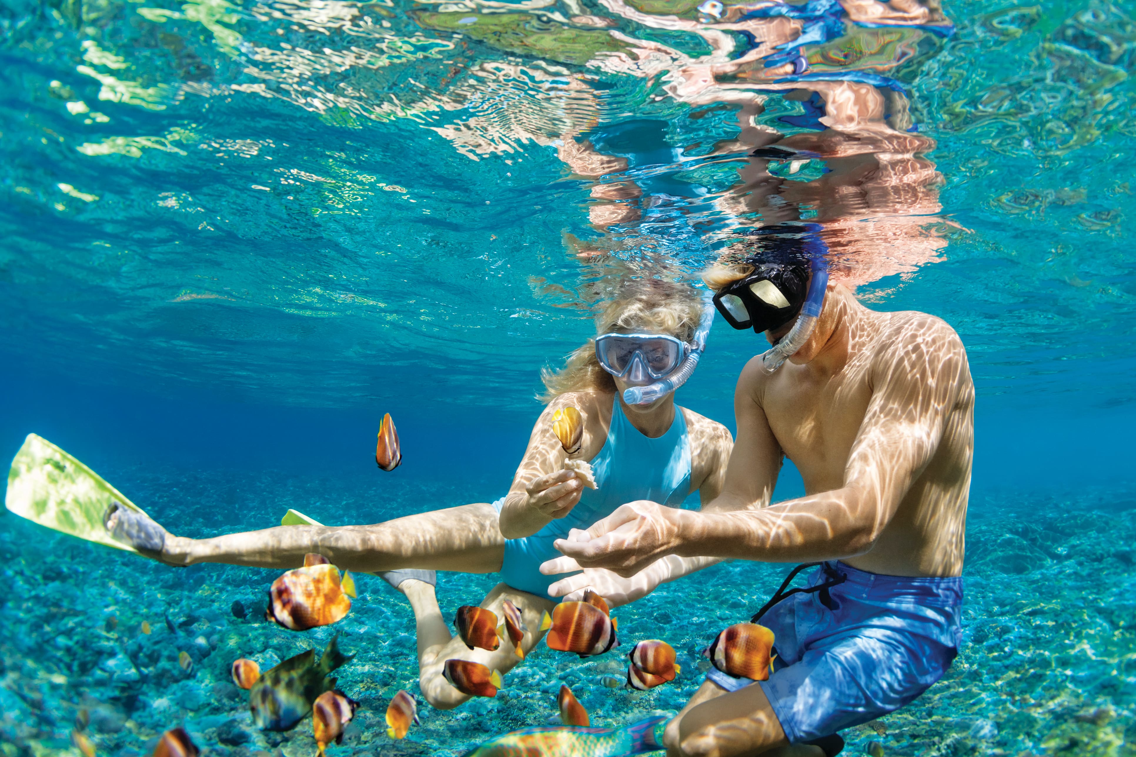 Cheap Holidays 2024 / 2025 | TUI Deals & Offers | TUI.co.uk