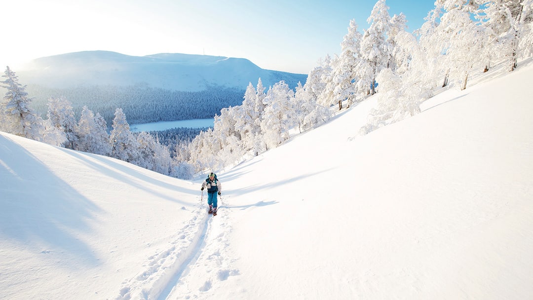 When is the best time to visit Lapland? | TUI